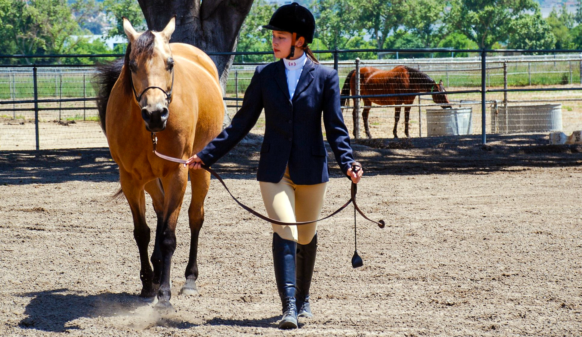 Horsemanship Club saddles up for a virtual experience - The Poly Post