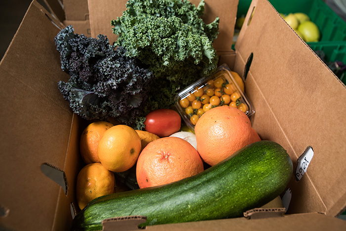 CPP AGRIscapes Farm Box is bringing the farm to the community - The ...