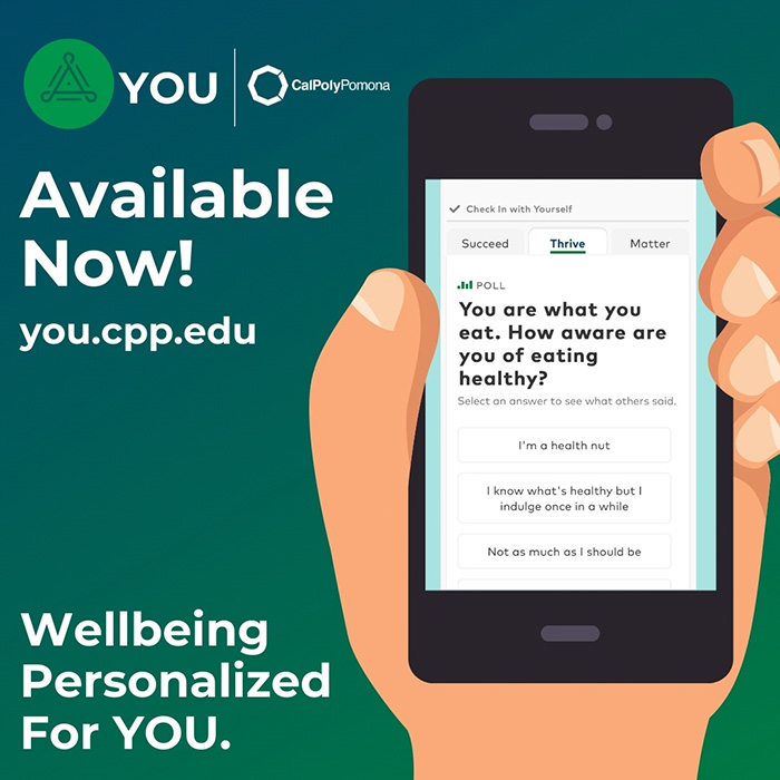 CPP introduces online platform to aid students’ health and wellbeing ...