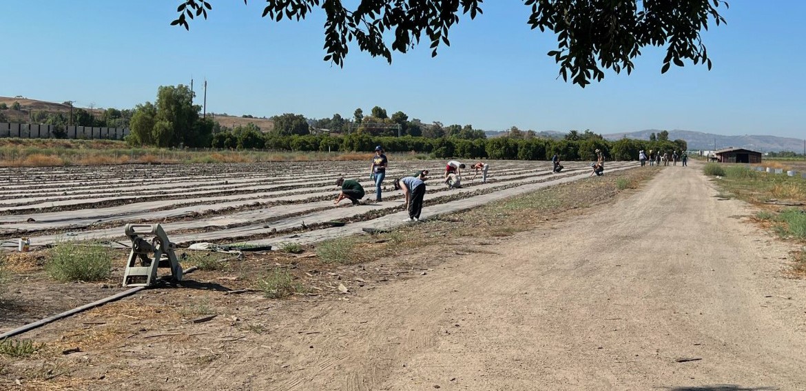 Spadra Farm reopens in preparation for the 2023 Pasadena Rose Float ...