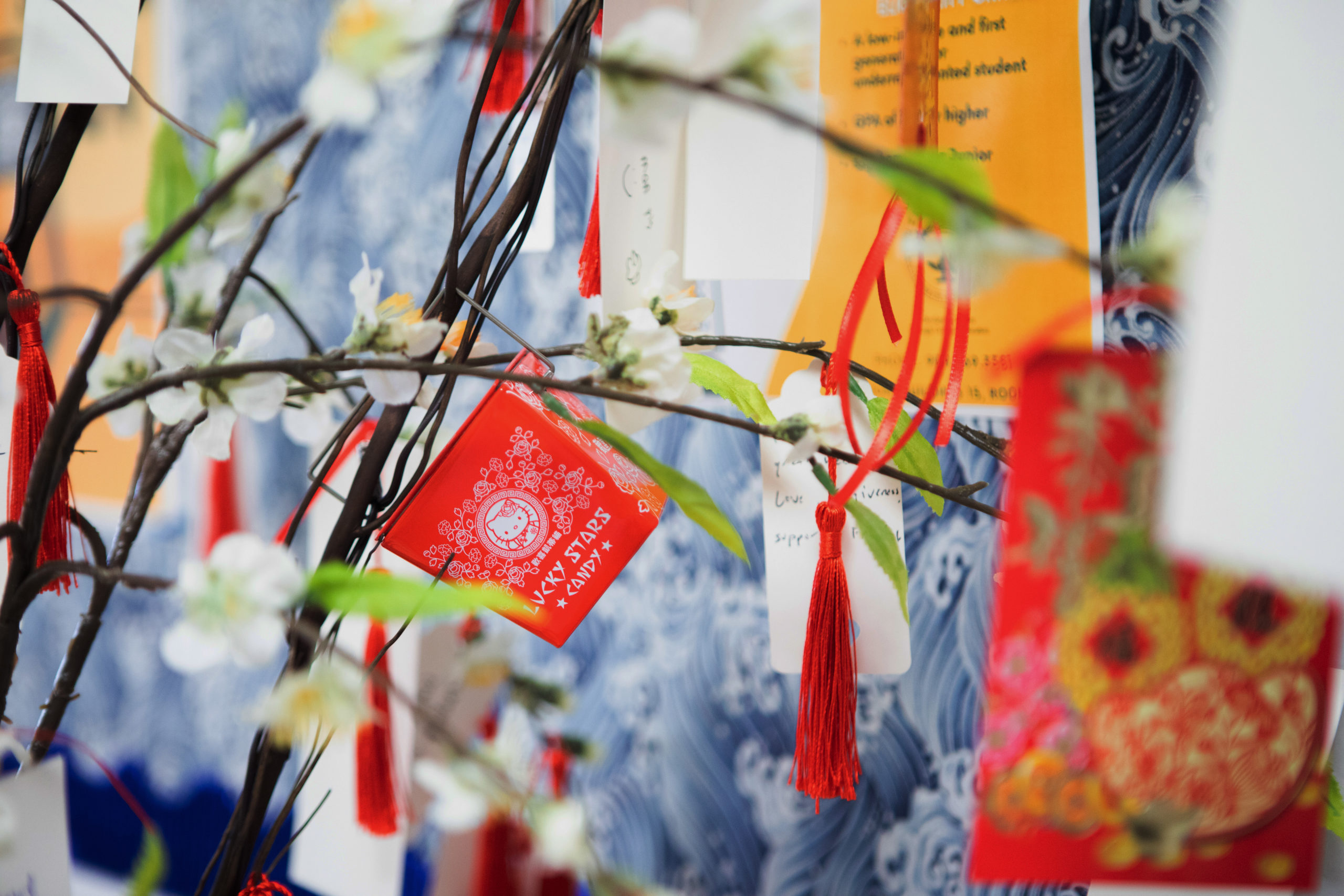 CPP Asian American community welcomes the Year of the Rabbit - The Poly ...