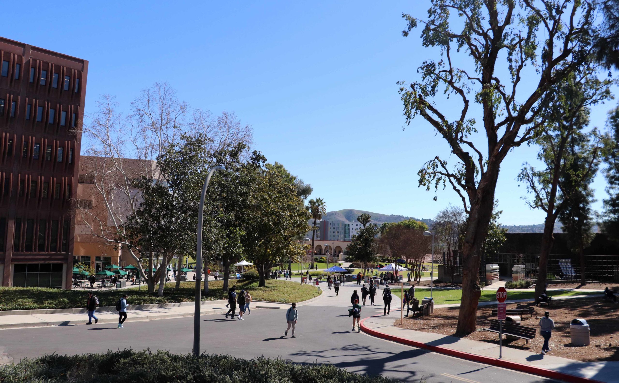 The CSU community voices their expectations for the ninth chancellor ...